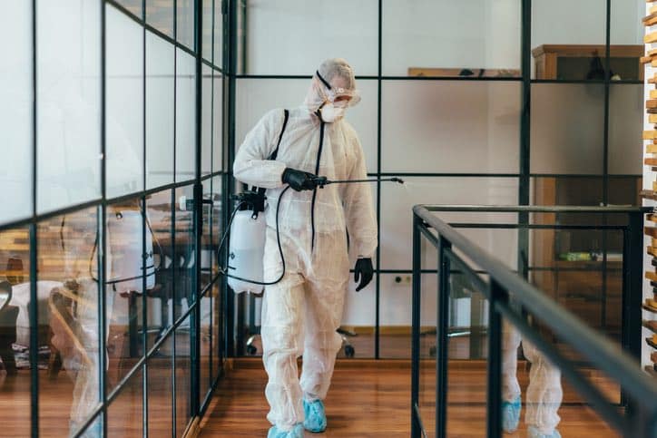 DIY or Professional Pest Control Services? - Zone Pest Solutions