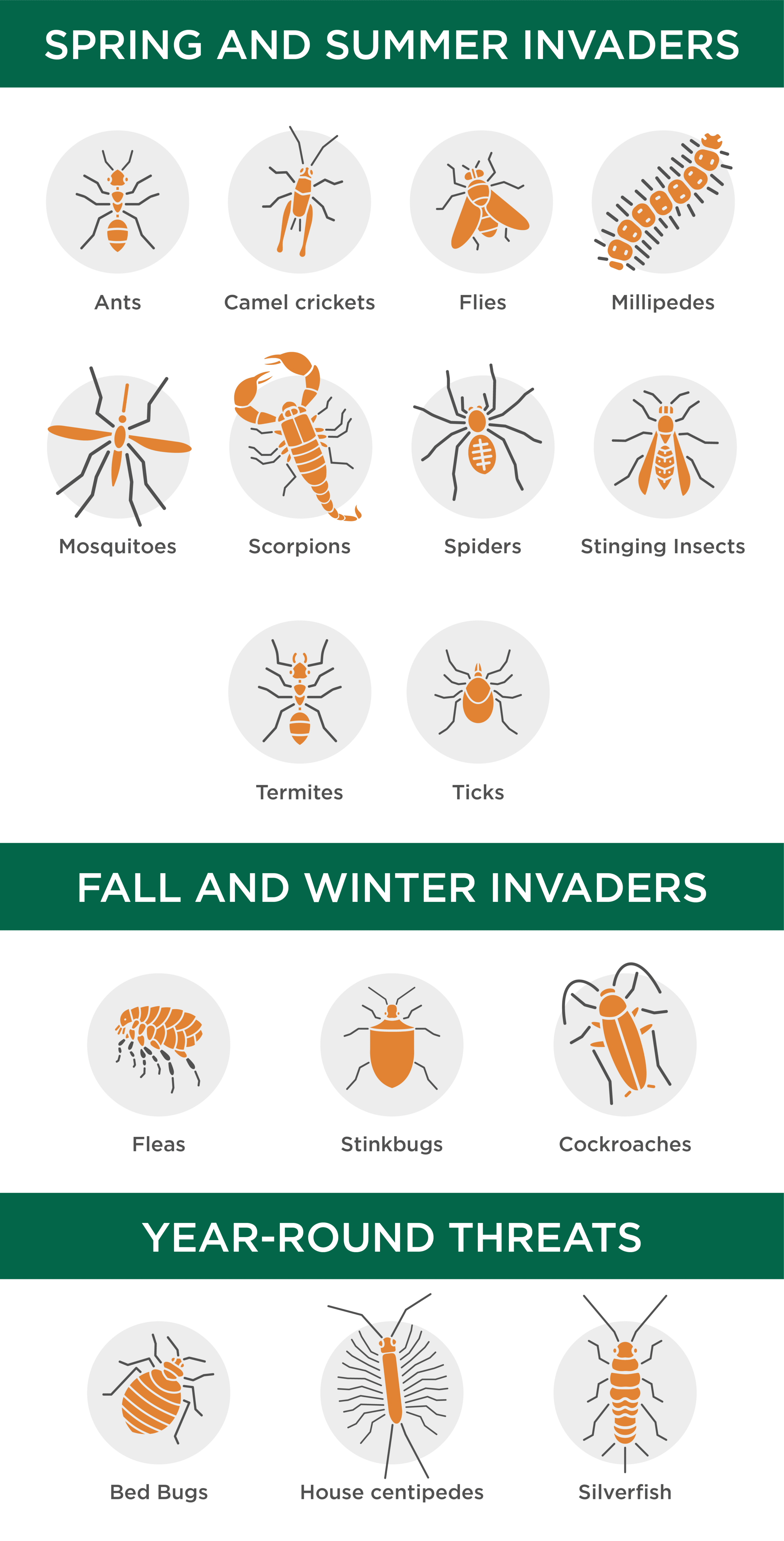Bugs by Season - Zone Pest Solutions - Prevention